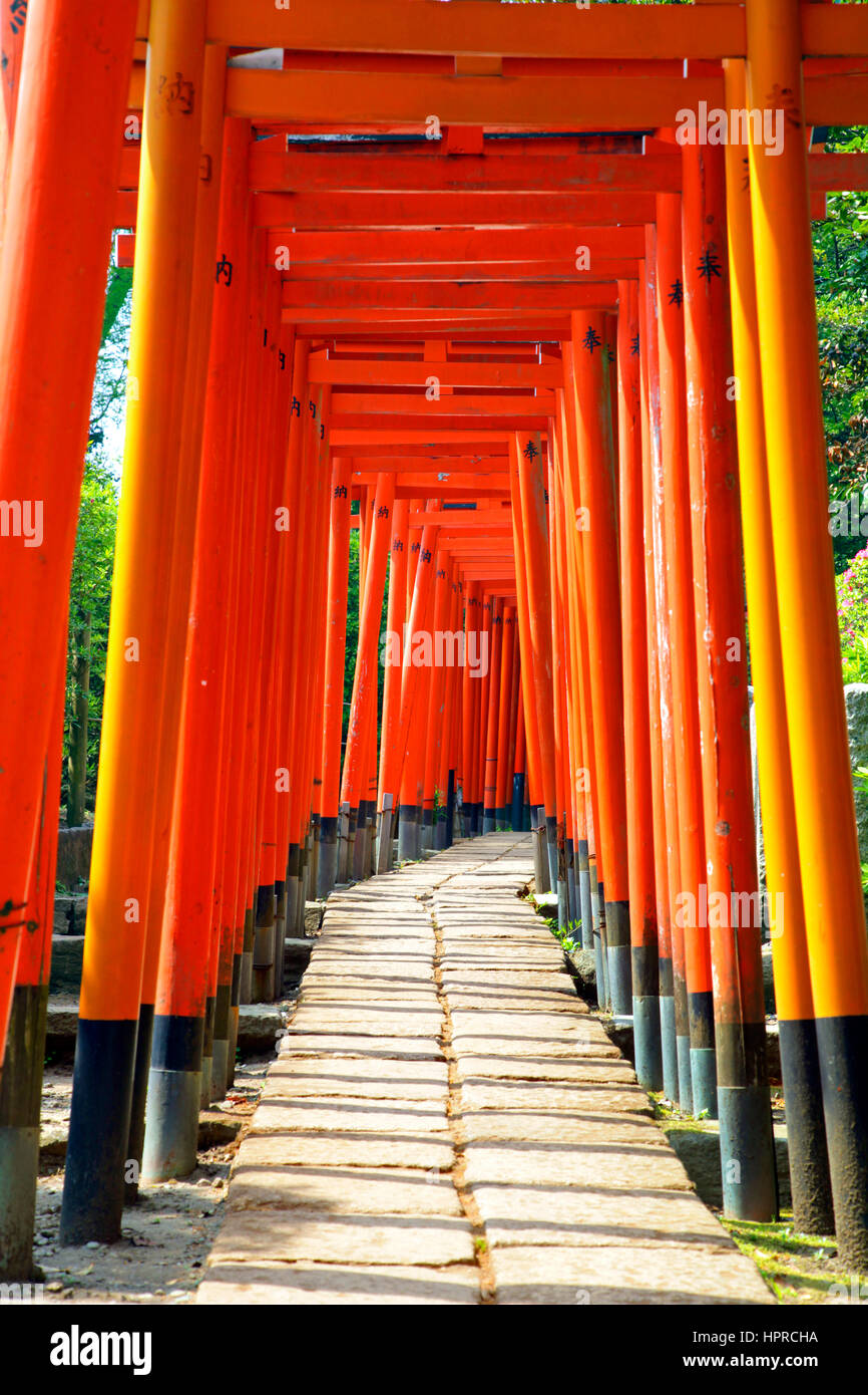 Senbon Torii Gates at Nezu-jinja Shinto Shrine Tokyo Japan Stock Photo ...