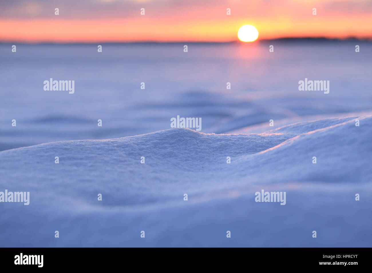 Snowy christmas scene. Winter sun shine on snowdrifts. Colorful xmas ...