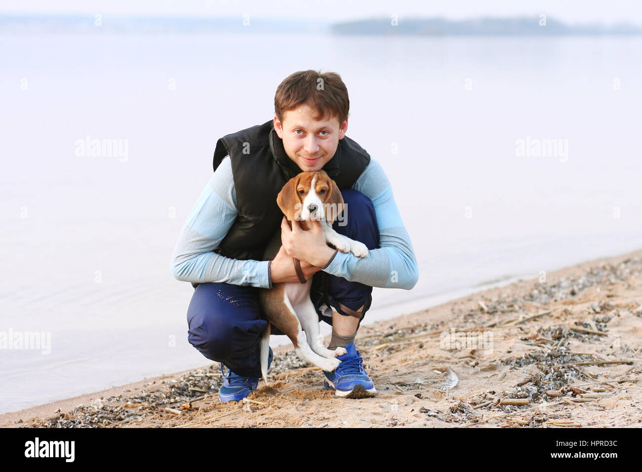 Beagle dog with its owner on seaside Stock Photo - Alamy