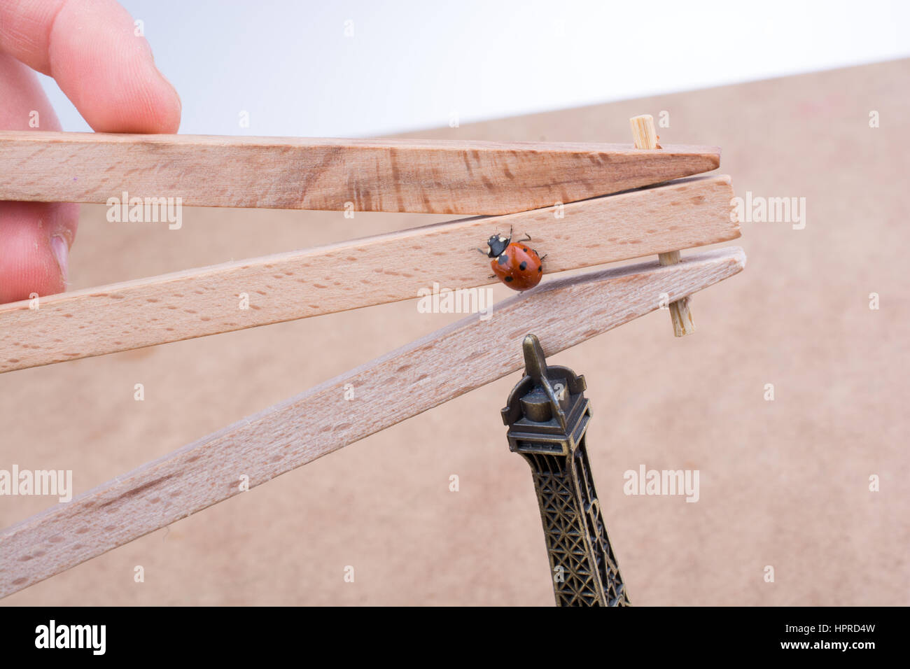 Beautiful photo of red ladybug walking around objects Stock Photo - Alamy