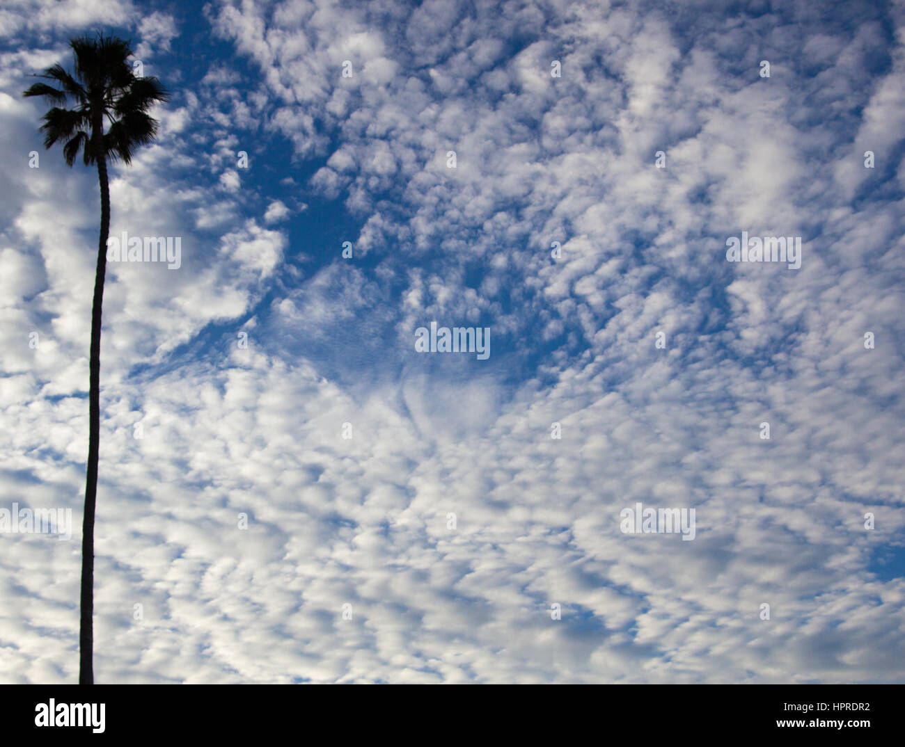 San Diego, where you can enjoy surfing the pacific ocean. Great weather ...