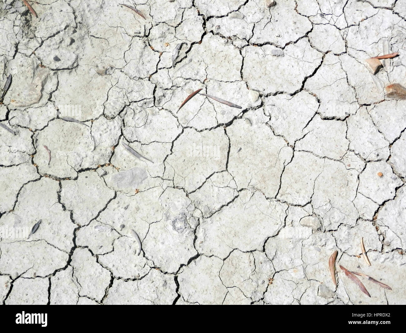Dried out earth hi-res stock photography and images - Alamy
