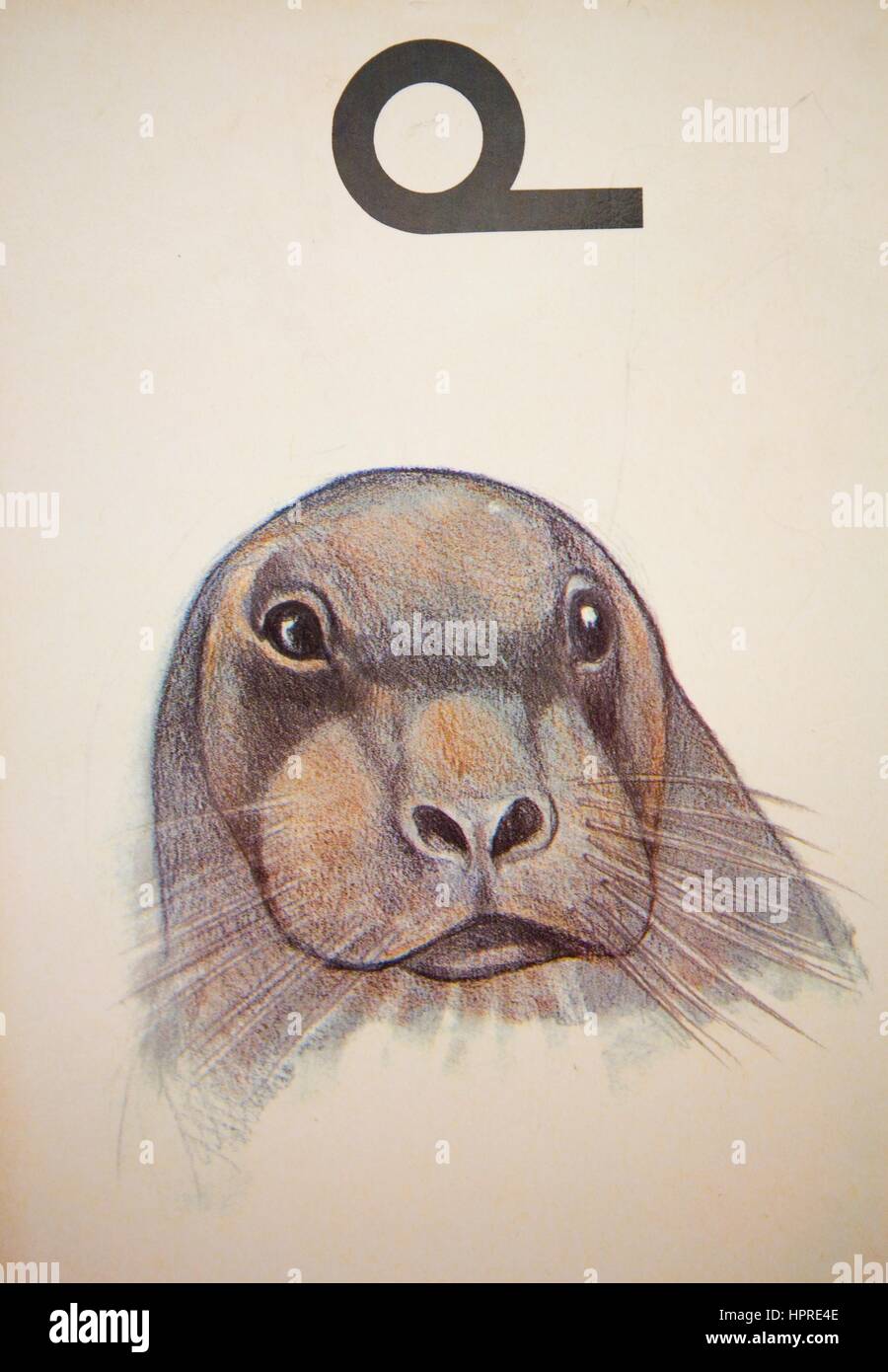 Inuit alphabet hi-res stock photography and images - Alamy