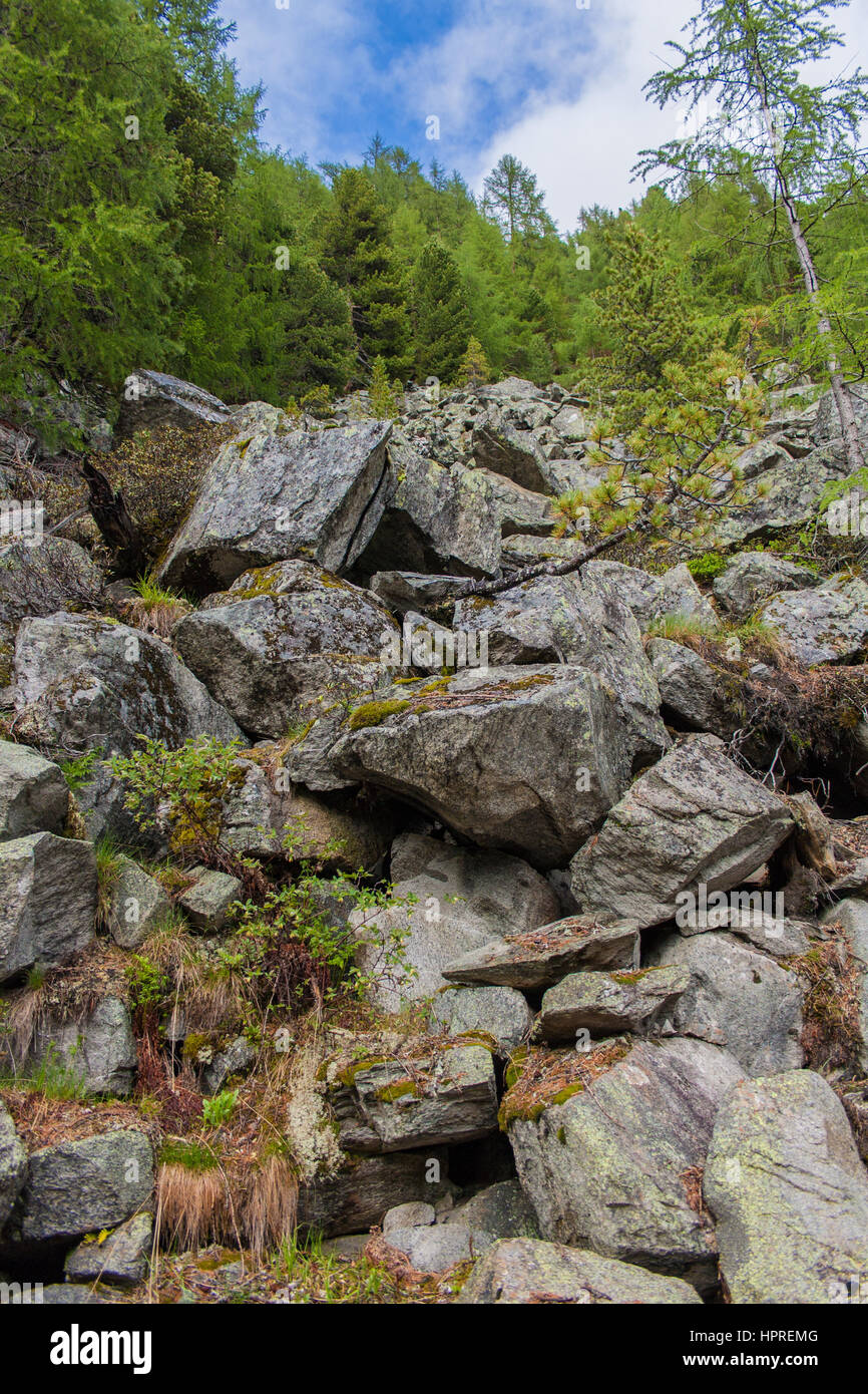 Rocks and woods in mountain Stock Photo - Alamy