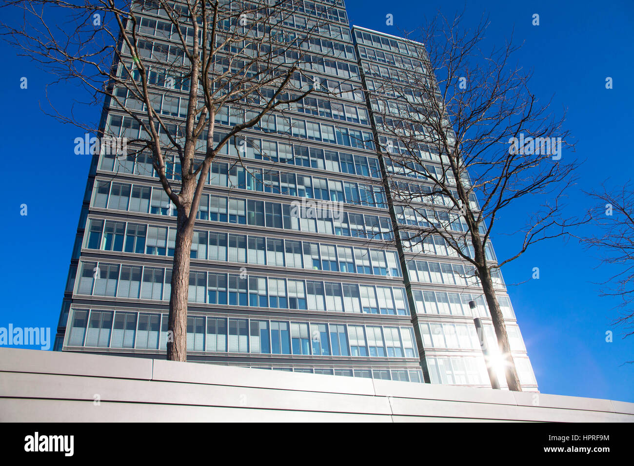 Germany, Cologne, trees in front of the Lanxess Tower Stock Photo - Alamy