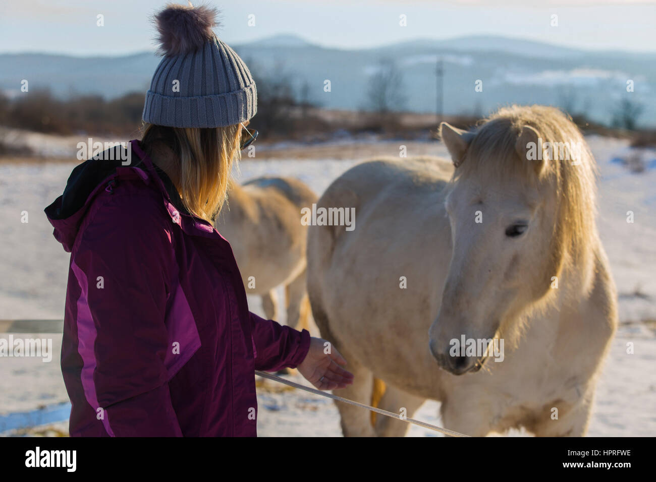 Stable girls hi-res stock photography and images - Alamy