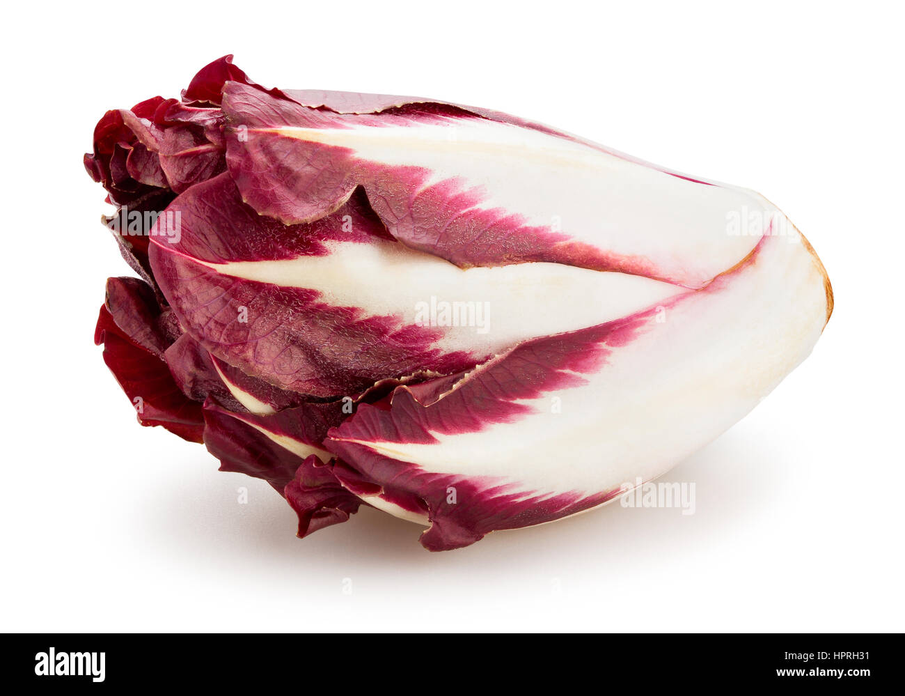 red chicory isolated Stock Photo - Alamy