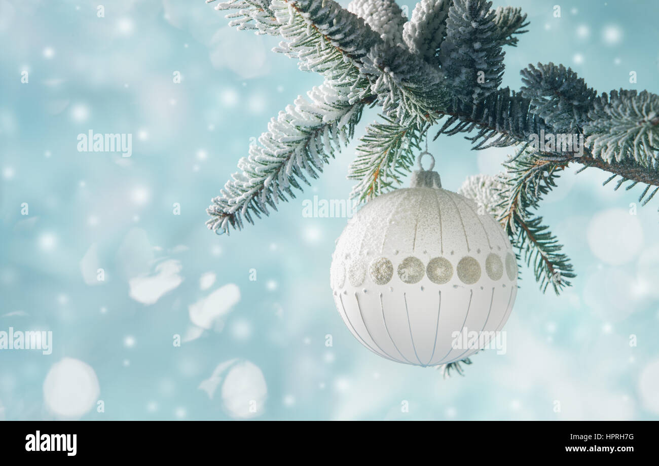 A single white bulb hangs from a frosted pine tree Stock Photo - Alamy