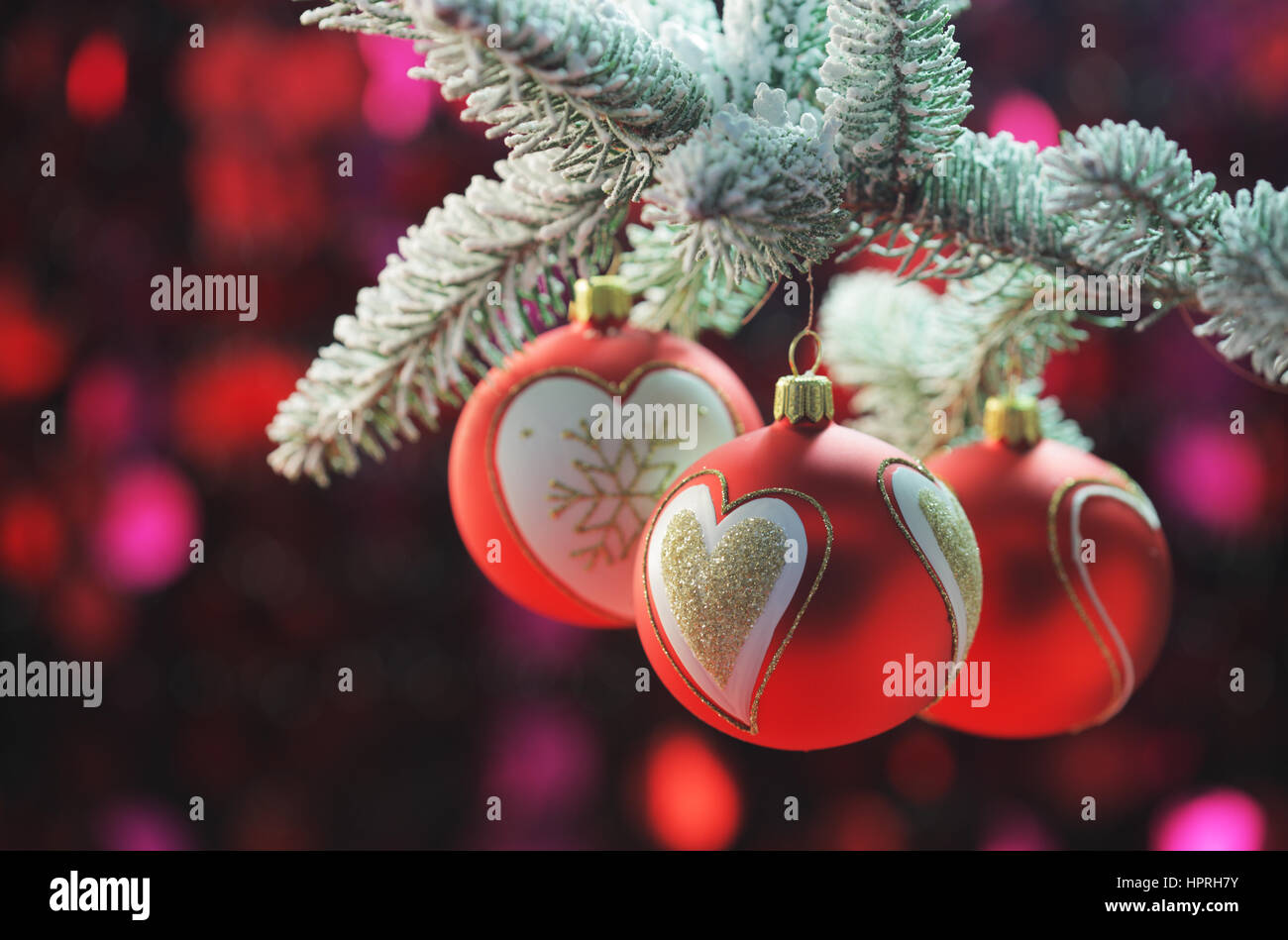 It's Christmas, red balls hangs from a frosted pine tree Stock Photo ...