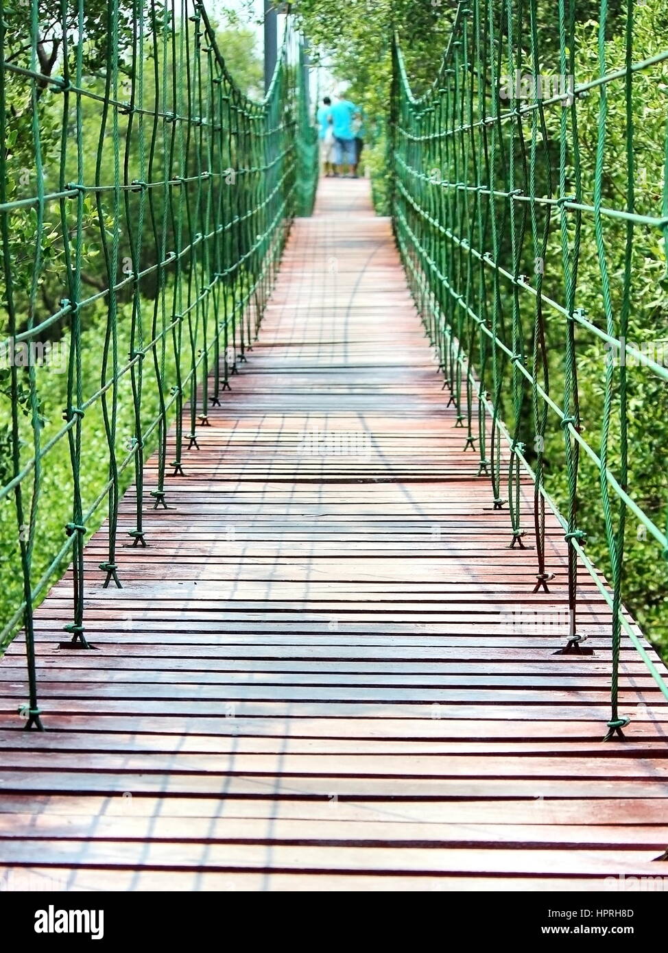 Rope bridge jungle hi-res stock photography and images - Alamy