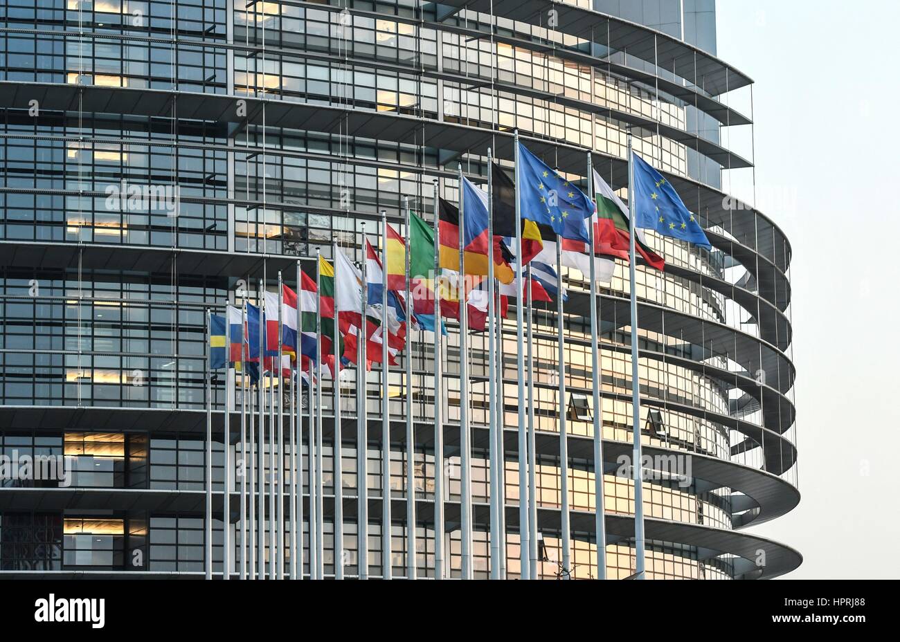 European flags waving in front of European Parliament in Strasbourg ...