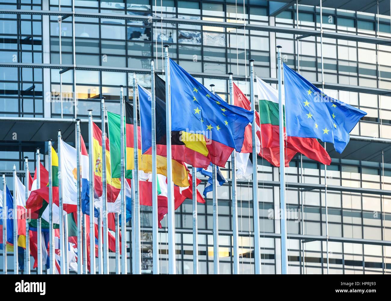 European flags waving in front of European Parliament in Strasbourg ...