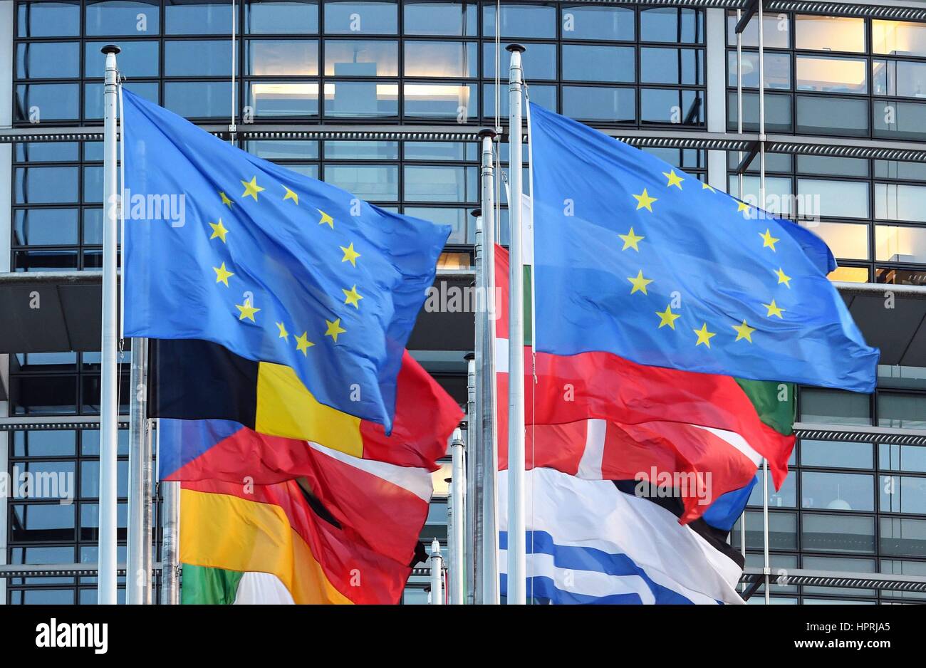 European flags waving in front of European Parliament in Strasbourg ...