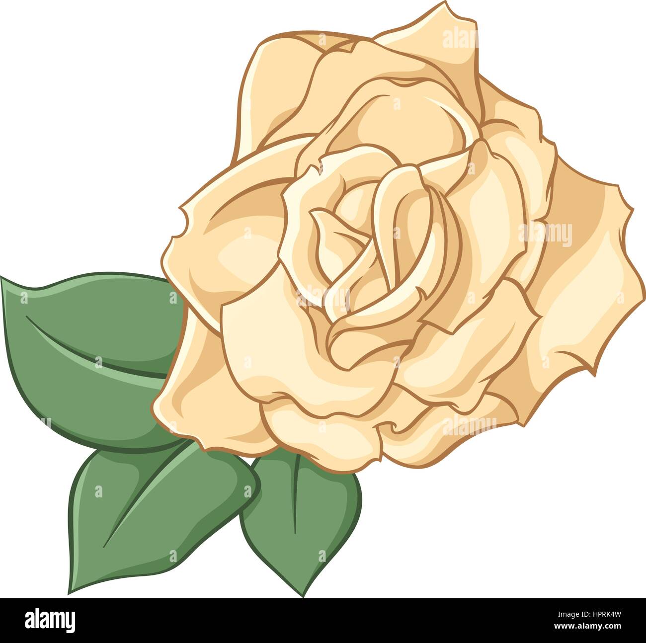 Beige rose on white background Stock Vector Image & Art - Alamy