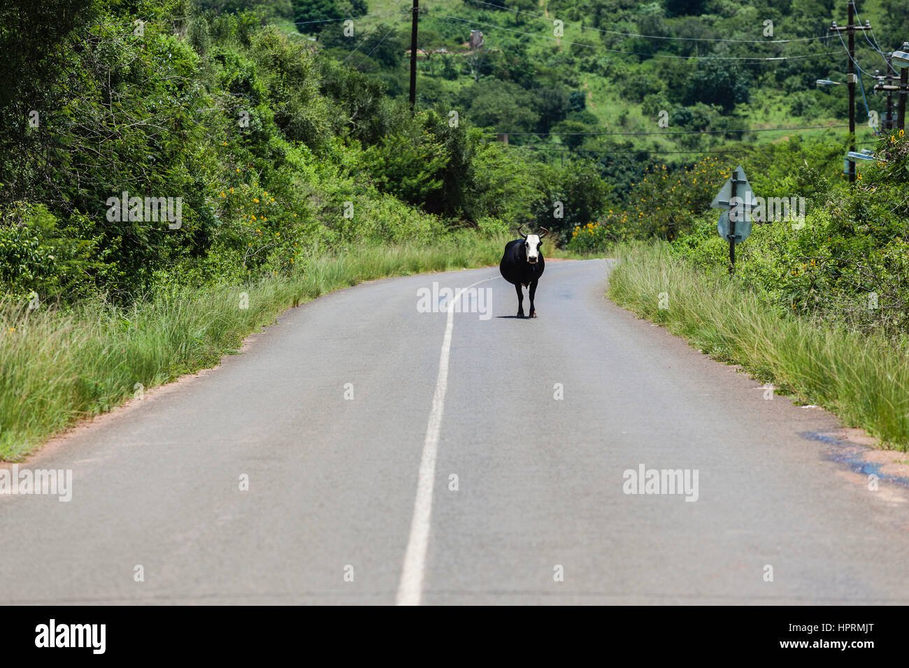 Inanda dam hi-res stock photography and images - Alamy