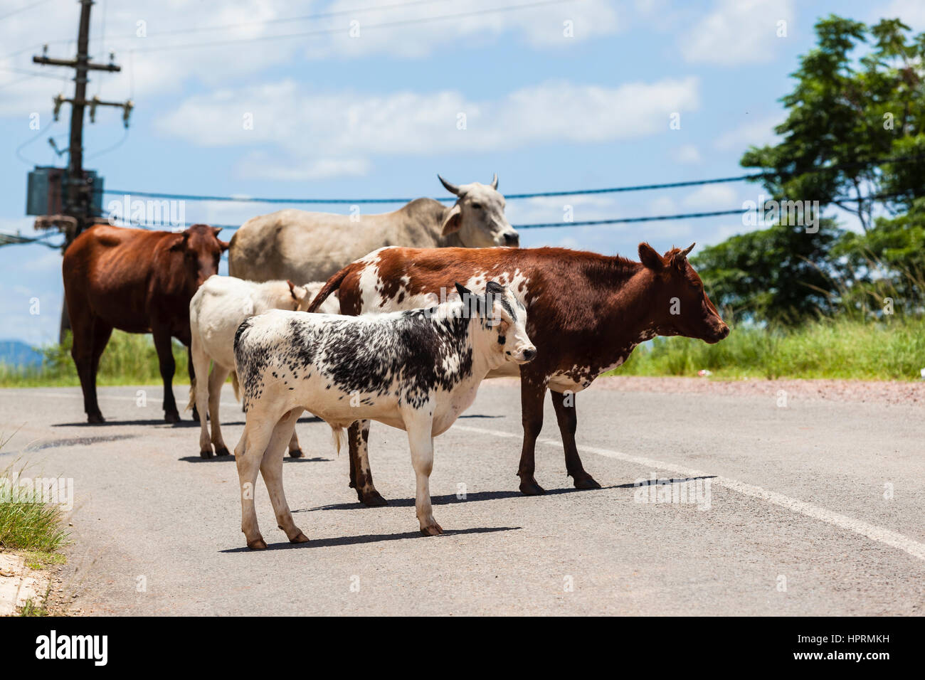 Inanda Dam fill to capacity and water flowing over the high wall Stock ...