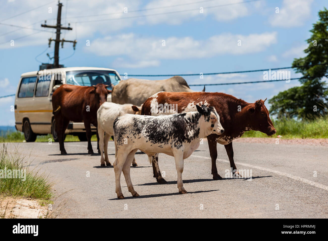 Inanda Dam fill to capacity and water flowing over the high wall Stock ...