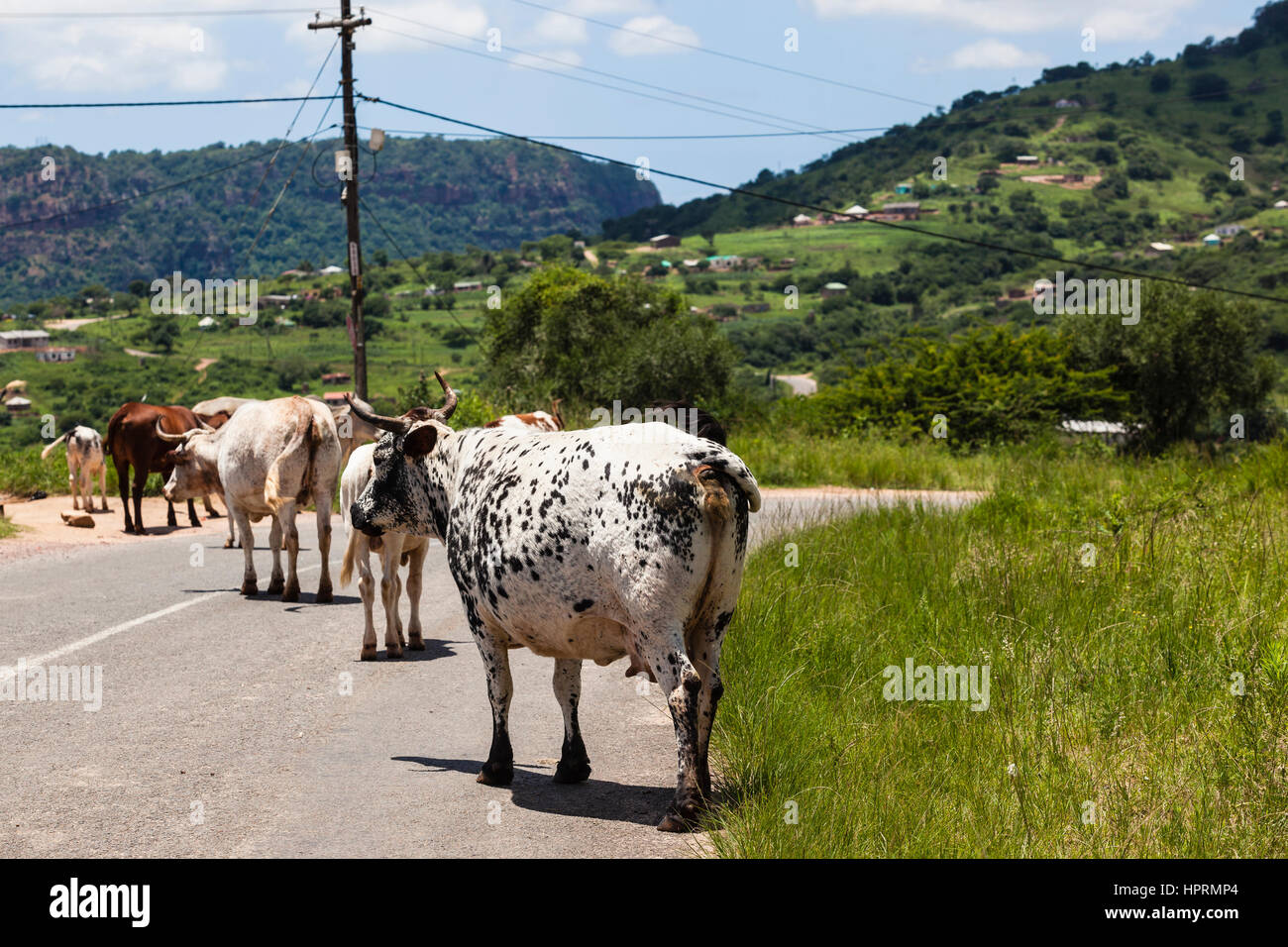 Inanda Dam fill to capacity and water flowing over the high wall Stock ...