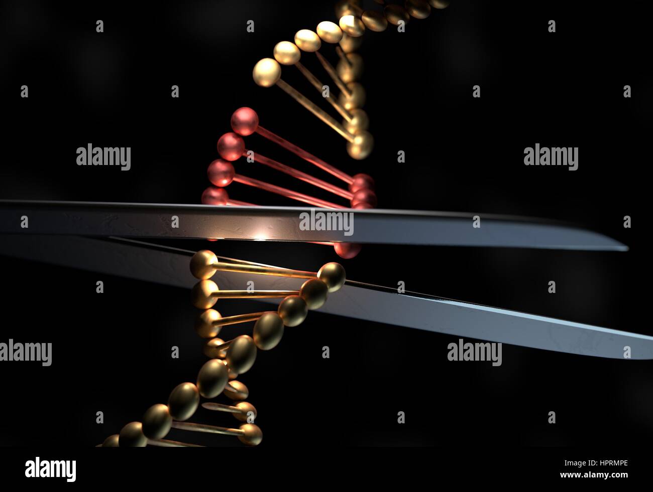 DNA strand in metal color cut with a scissor 3d render Stock Photo - Alamy