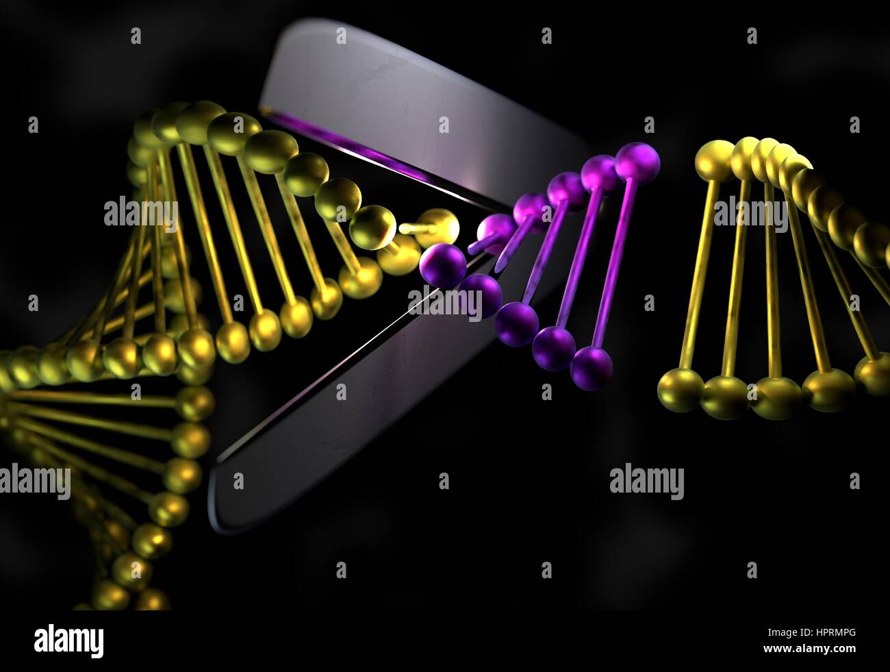 DNA strand in metal color cut with a scissor 3d render Stock Photo - Alamy