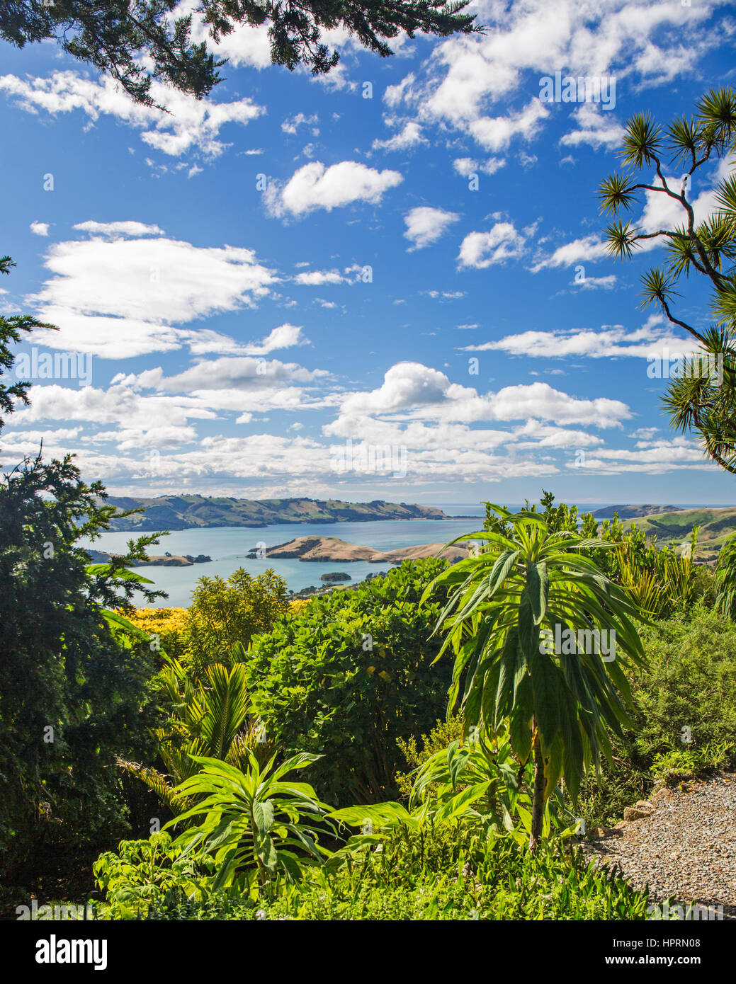 Dunedin, Otago, New Zealand. View over Otago Harbour from the hilltop ...