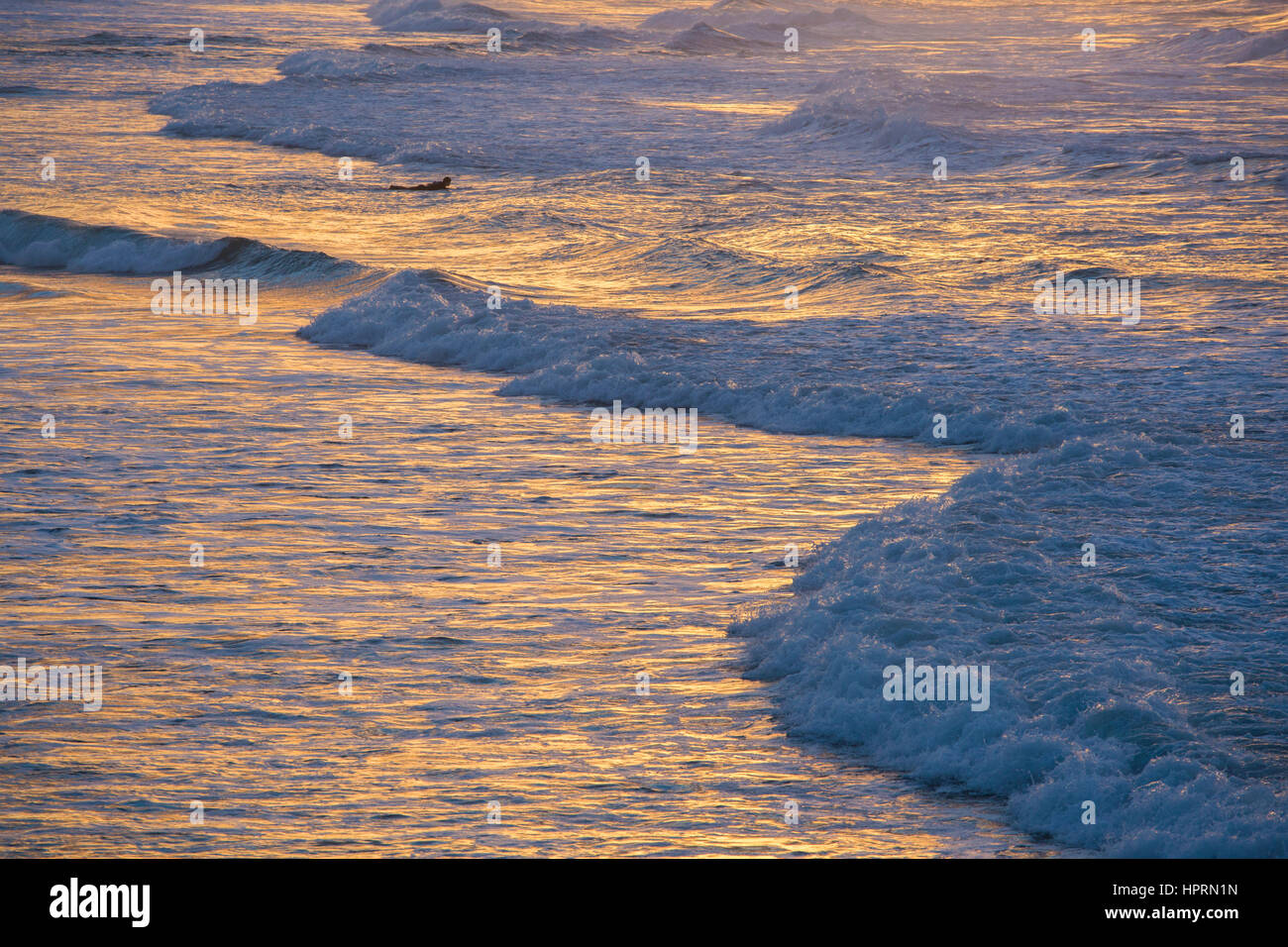 Dunedin from the ocean beach dunedin from the ocean beach hi-res stock ...