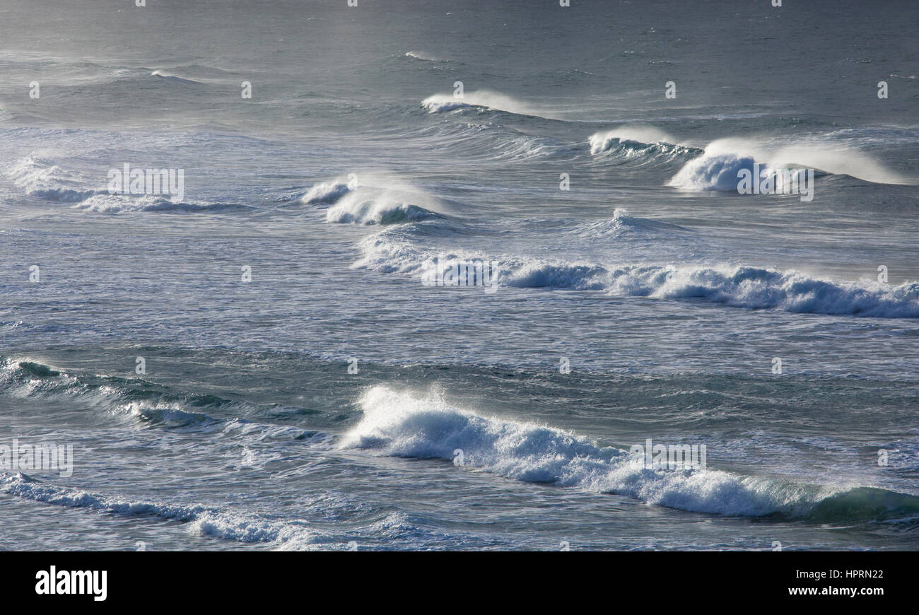 Dunedin, Otago, New Zealand. The storm-tossed waters of the Pacific ...