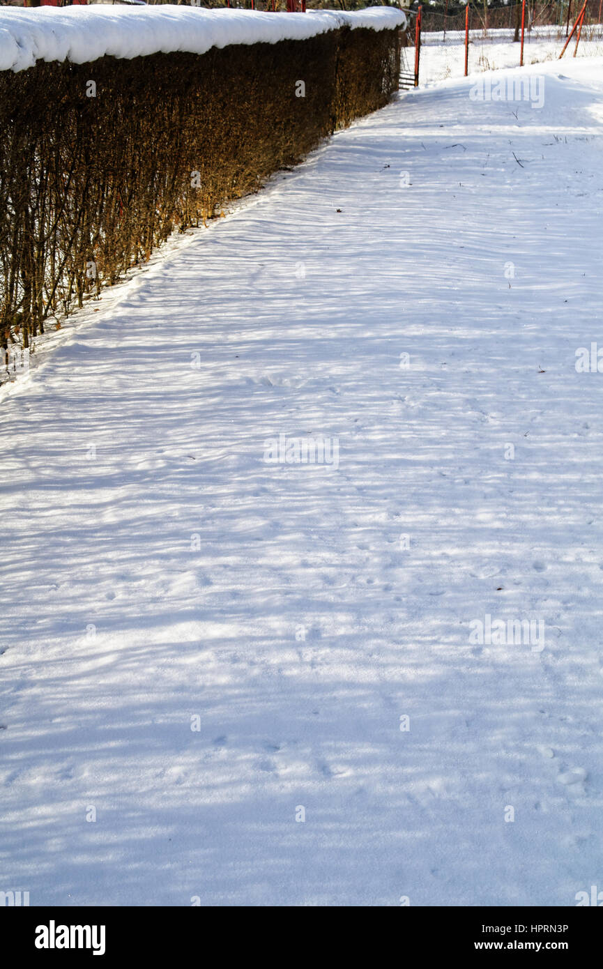 Hedge shadow on snow hi-res stock photography and images - Alamy