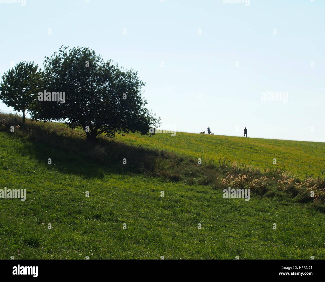 Landscape view of tree and people Stock Photo - Alamy