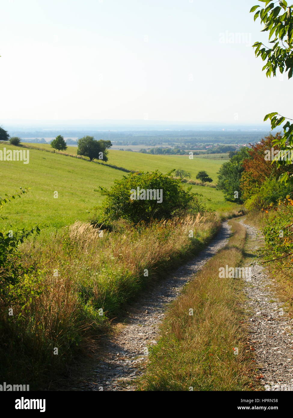 Outdoors shot of cart road Stock Photo - Alamy