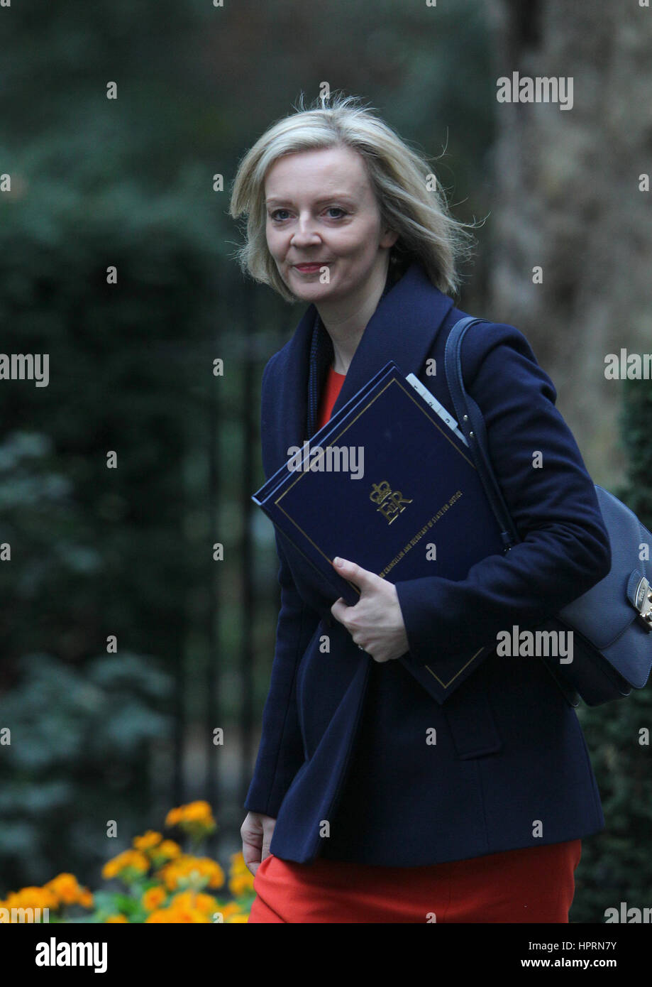 Elizabeth truss hi-res stock photography and images - Alamy