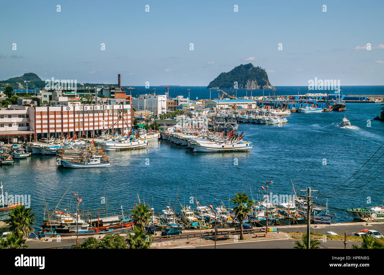 Republic of Korea, Jeju Island, South Coast, fishing fleet at Seogwipo ...