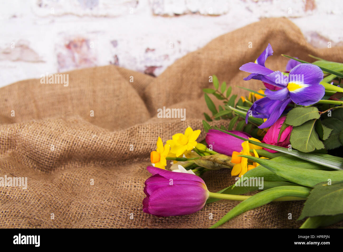 Spring cut flower arrangement against a rustic background Stock Photo ...
