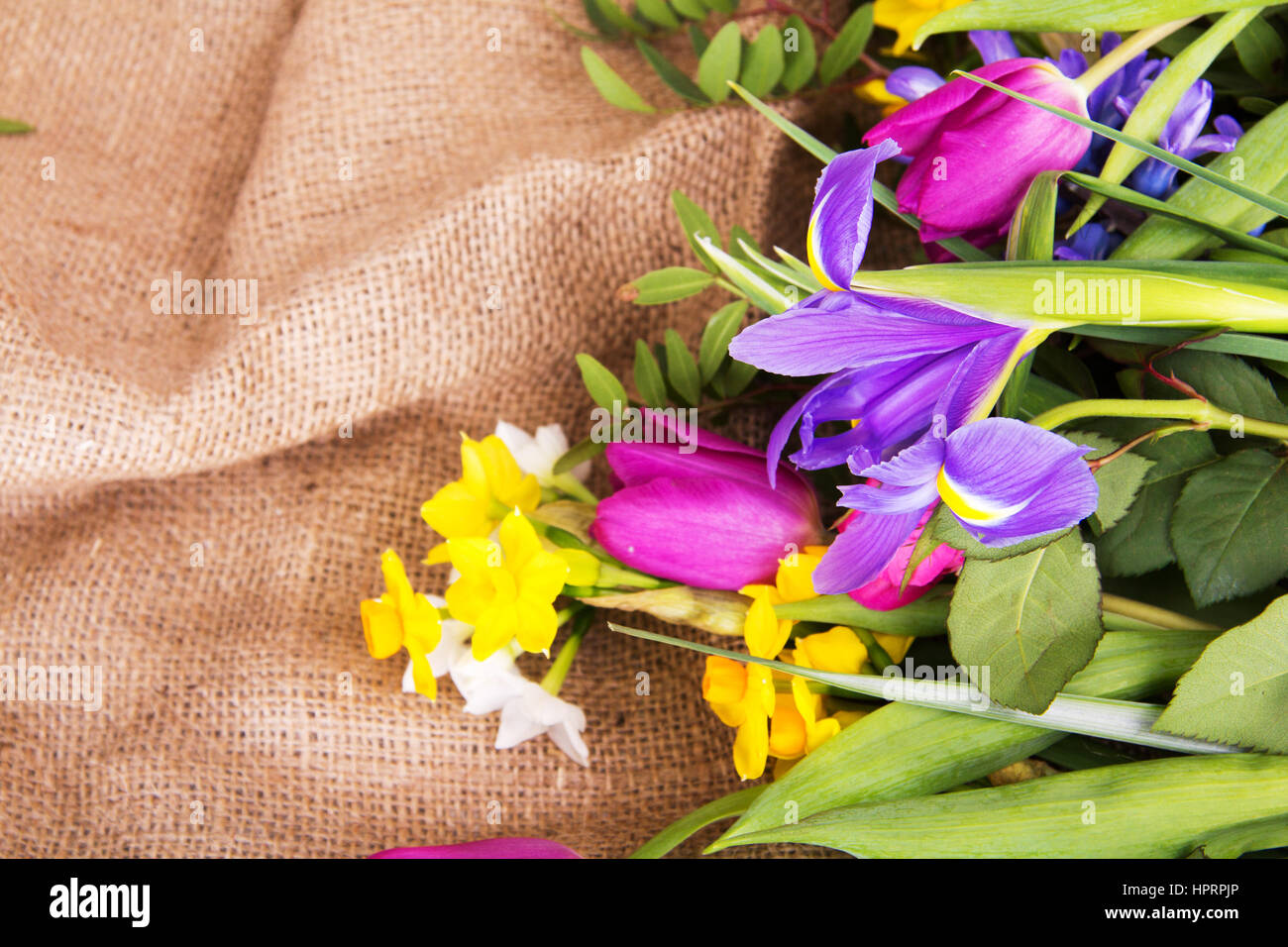 Spring cut flower arrangement against a rustic background Stock Photo ...