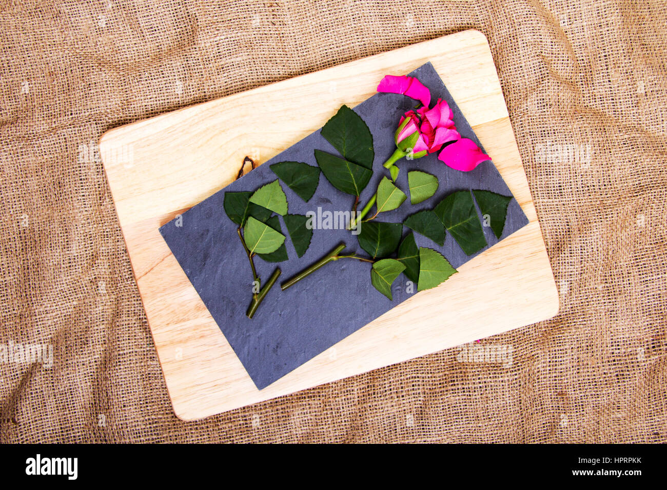 Single rose cut up on piece of slate Stock Photo - Alamy