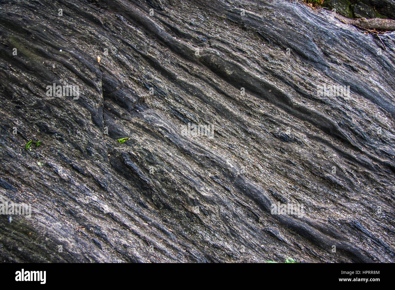 Central Park, New York City, USA - rock with scars from glaciers Stock ...