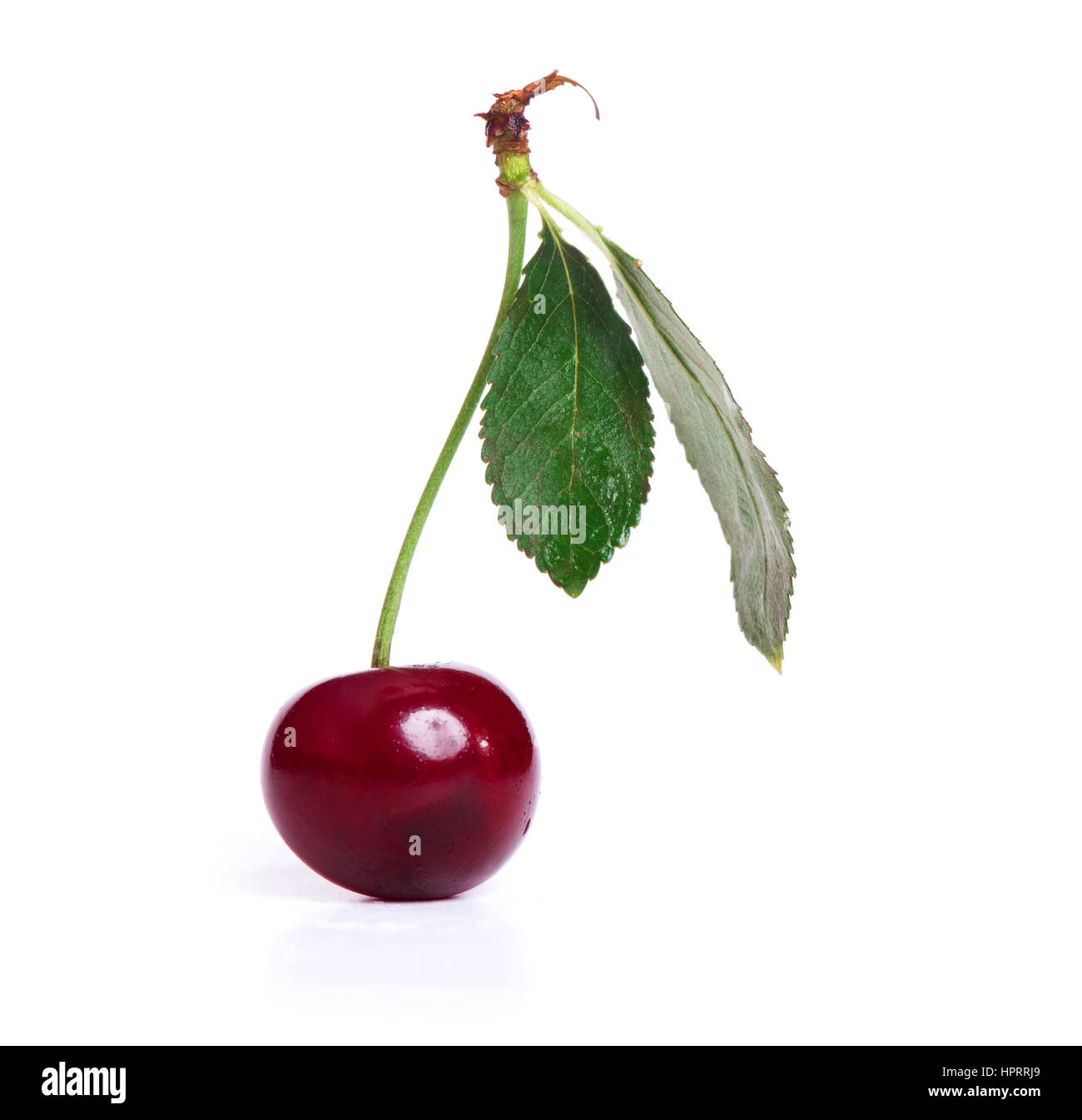 One sweet hi-res stock photography and images - Alamy