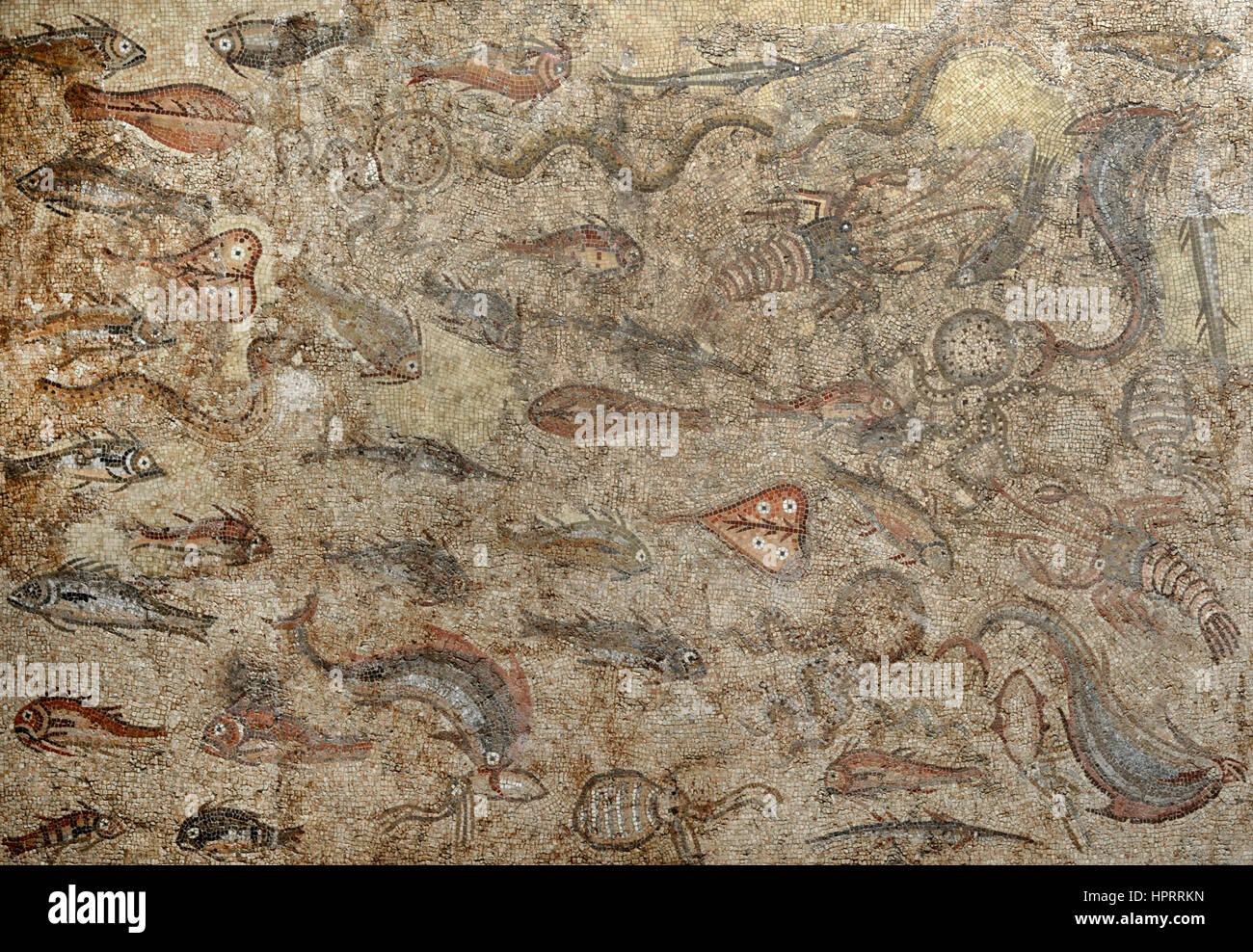 Roman mosaic fish hi-res stock photography and images - Alamy