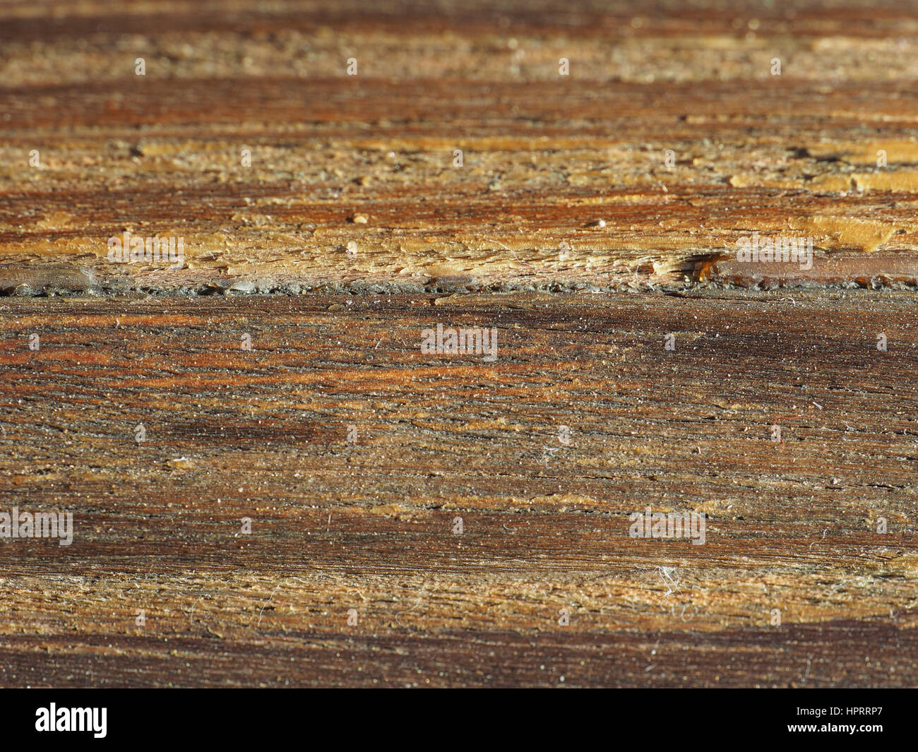 Old weathered wood texture useful as a background Stock Photo - Alamy