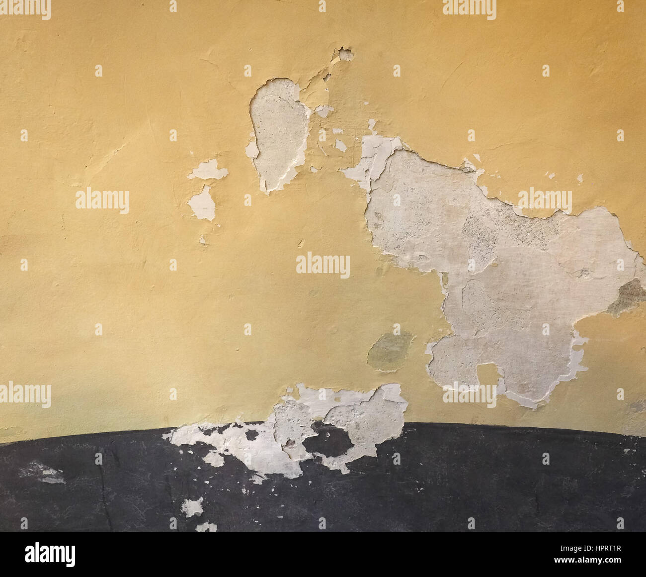 Damage caused by damp and moisture on a wall Stock Photo - Alamy