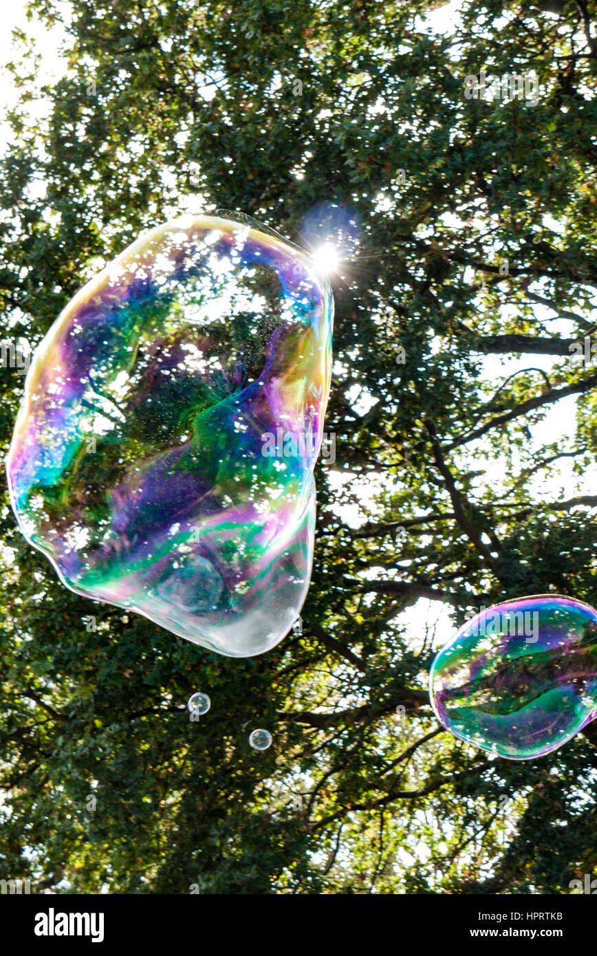 Blown bubbles floating in front of trees Stock Photo - Alamy