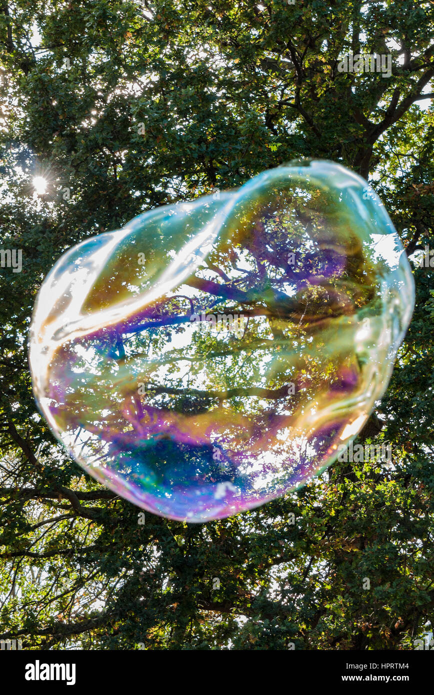 Blown bubbles floating in front of trees Stock Photo - Alamy