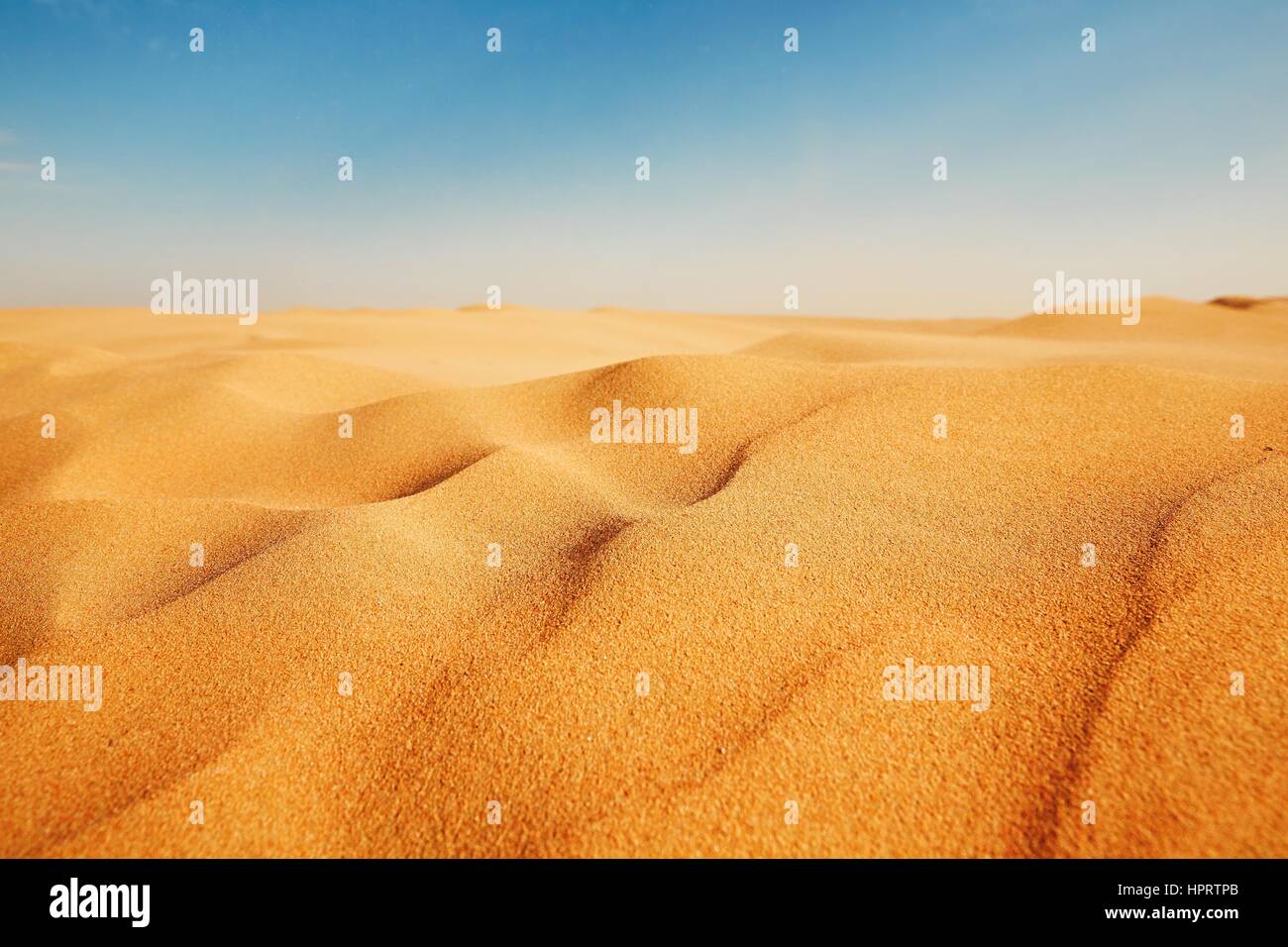 Dune landscape sunny day hi-res stock photography and images - Alamy