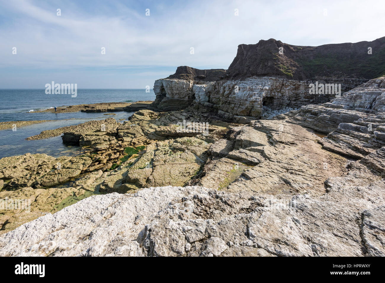 rocky coastline at Thornwick bay, Flamborough head, North Yorkshire ...