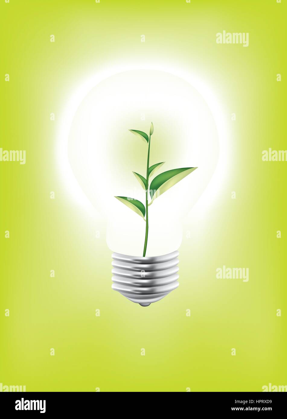 Light bulb plant growing green Stock Vector Images - Alamy