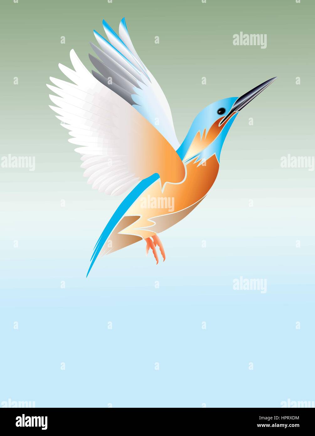 Kingfisher with fish Stock Vector Images - Alamy