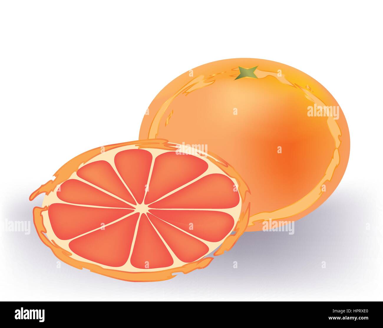 Pink grapefruit half on Stock Vector Images - Alamy