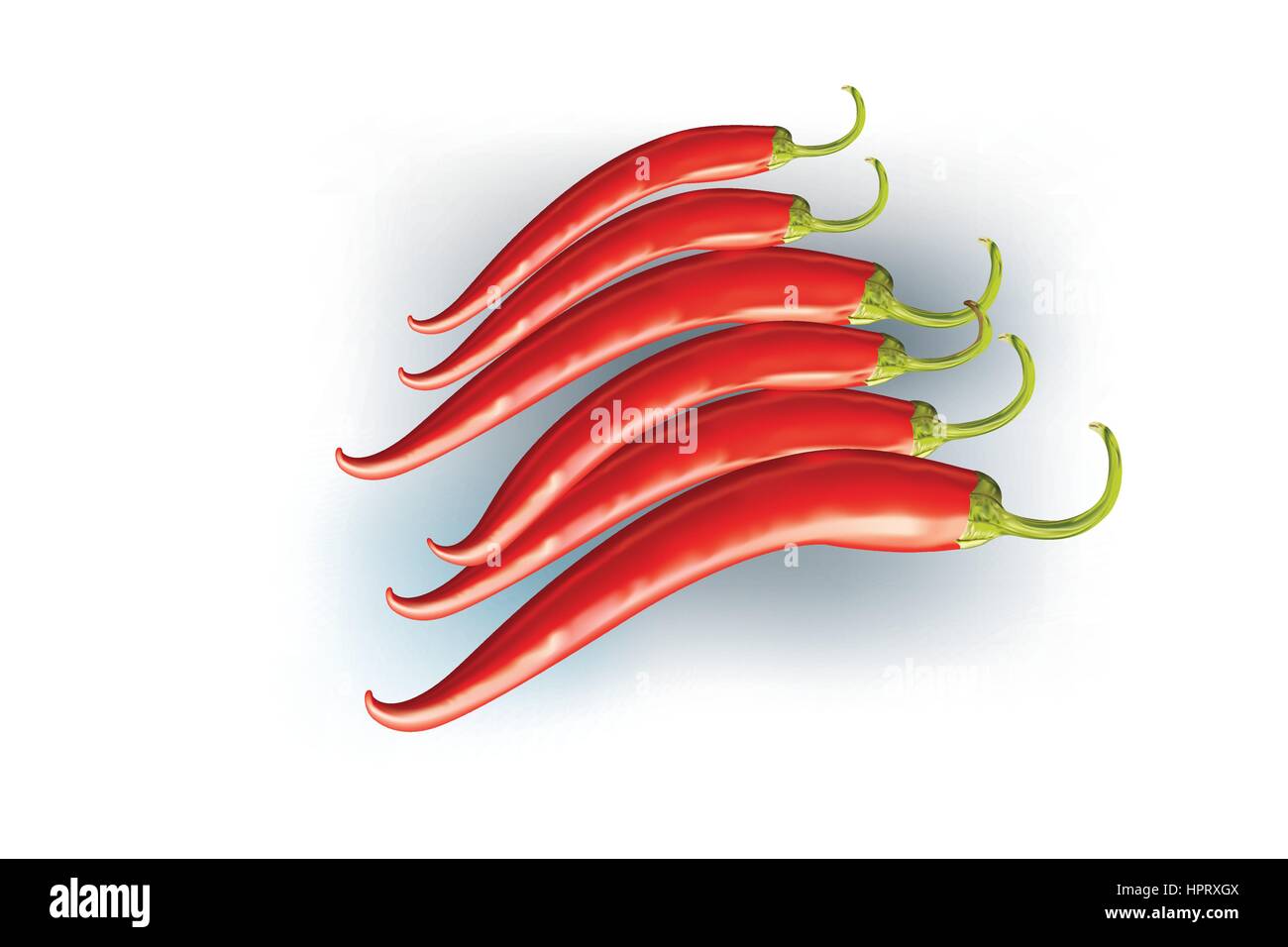 Fresh organic red chillies Stock Vector Images - Alamy