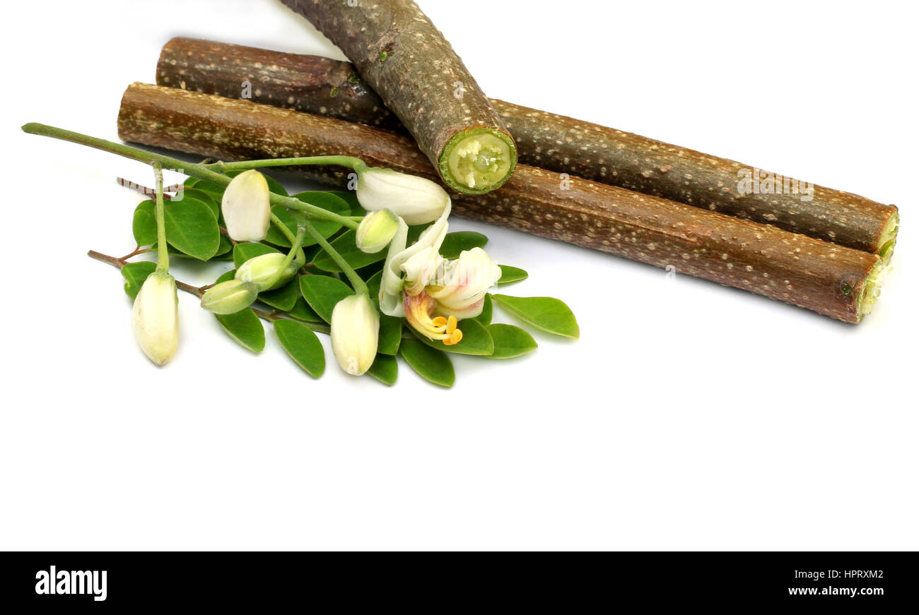 Fresh Moringa leaves over white background Stock Photo - Alamy