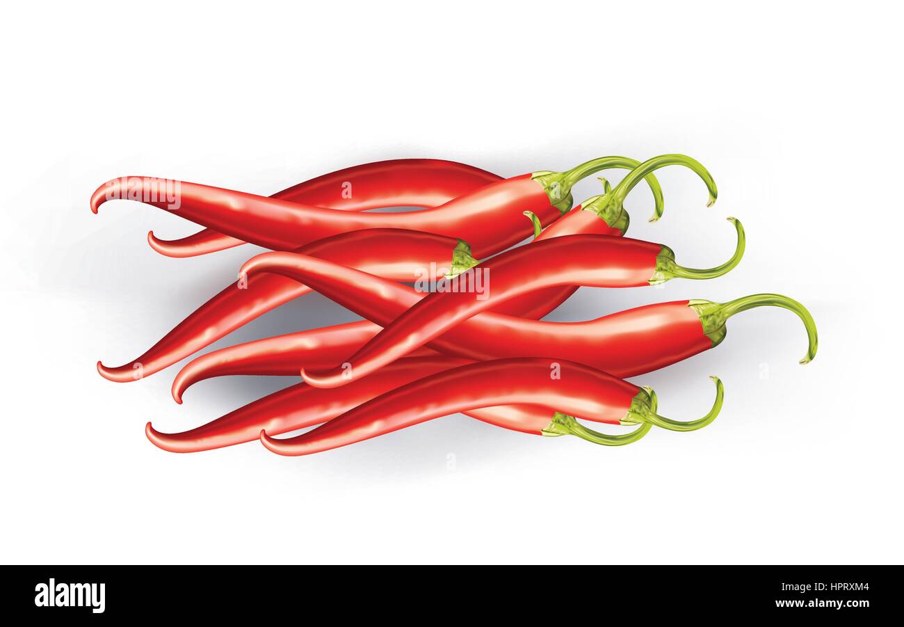 Fresh organic red chillies Stock Vector Images - Alamy